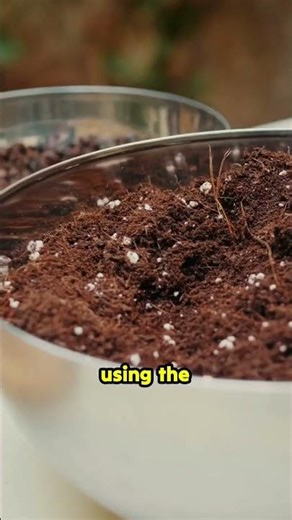 Survival Hack: When LifeStraw Isn't Enough to Fix TERRIBLE Tasting Water! 🤢