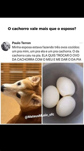 Ele dava mais valor ao cachorro do que o marido