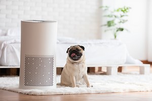 How Do Air Purifiers Work?