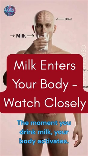 What really happens inside your body when you drink milk? 🥛 #shorts