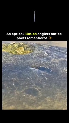 🅜🅡 - 🅢🅗🅐🅡🅜🅐 🅙🅘 on Instagram: "The post features a video of sunlight illuminating turbulent river water over rocks, creating bubbling shadows that evoke the whimsical "kapu kapu" laughter of "Clam Bon" from Miyazawa Kenji's children's story "Yamanashi," where the character symbolizes playful stream bubbles. In the follow-up reply, the author clarifies the optical effect as shadows from water waves hitting rocks, a common sight for anglers that poetically aligns with Kenji's nature-inspi