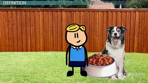 Secondary Reinforcer | Definition & Examples