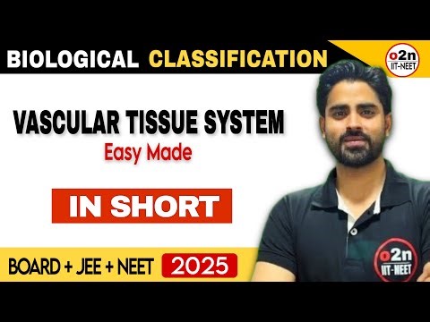 Vascular Tissue System Class 11 Biology | Xylem and Phloem Explained in Simple Way