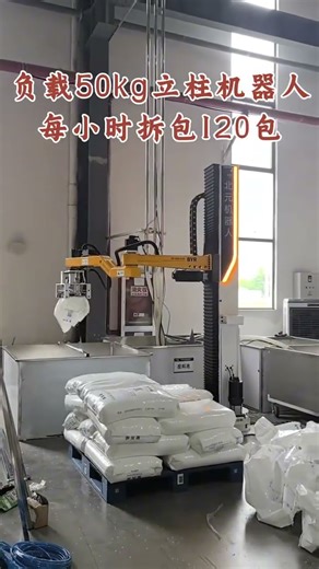 Column Robot for High-Efficiency Unpacking — 50–250kg Payload, 120 Packages/Hour