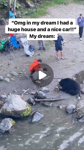 Bear Memes 🐻 | SwankyBear on Instagram: "The way they all run at the end 😂😂😂 🐻 Follow @swankybear 🐻 #bear #reels #funny #meme #bears🐻 #bearsofinstagram #bearstyle #memepage #memes #funniest #viral"