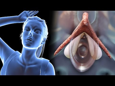 Female Orgasm | Step by Step