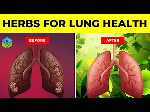 Top 10 Herbs for Lung Health, COPD, Clearing Mucus and Killing Viruses