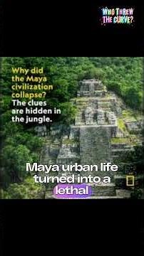 Archaeologists Just Found the REAL Reason the Maya Collapsed\r#MayaCivilization #Archaeology #Ancient