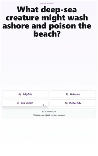 Deadly Beach Mystery: Can You Name This Poisonous Sea Creature? Riddle
