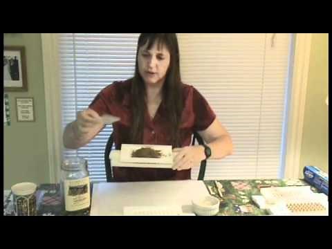 How to Fill Your Own Capsules with Herbs