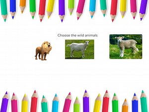 Classification of animals