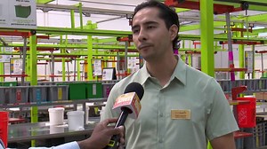 Houston Food Bank seeks help as SNAP benefits face risk