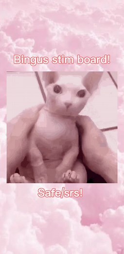 Bingus Stim Board for a Safe and Relaxing Experience