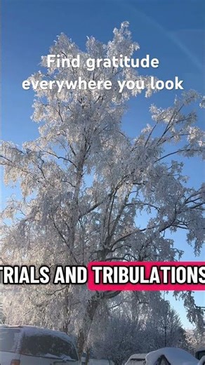 Find things to be grateful for and build memories every day ￼