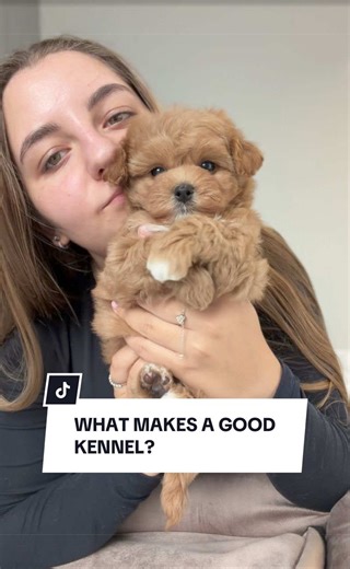 When it comes to dog breeders, people often ask the same question: how humanely are the dogs treated there? And there is no single answer — everything depends on the specific place and the values it follows. A good kennel is not about cages or “keeping dogs just for the sake of it.” It’s about care and love. It means that puppies grow up in clean conditions, receive proper nutrition, veterinary supervision, and most importantly — attention. They hear human voices, they play, they learn to intera