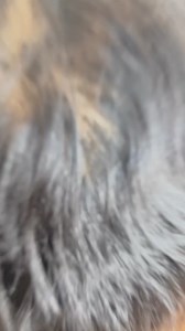 WATCH: How to transform hair with dark regrowth into a dazzling pink by Hair factory nyc 💗🔥 Products used: Fuschia Pink 4RRv/4.65 Auburn Bond Protect Bleach 20 Volume Developer #UglyDucklingColor #hairtransformation #pinkhair | Ugly Duckling Hair Color