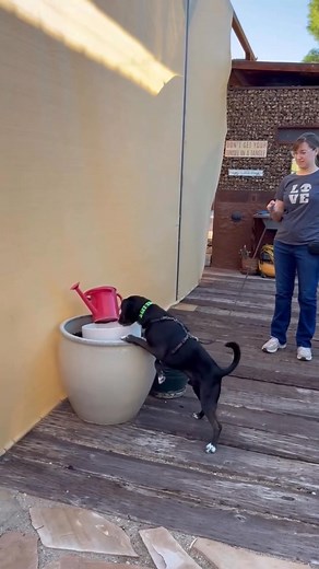 11 reactions |  Urban Locating Adventures Begin!  Join us for an...