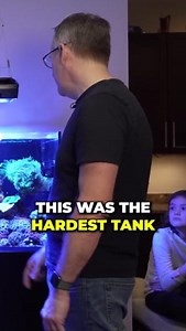 Have you ever experienced difficulty setting up a reef tank? Share your helpful tips below! | World Wide Corals, Inc. | Facebook