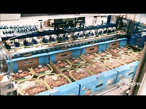 RPM TL2+ Case Packer - Loading Produce Into Shipper Trays
