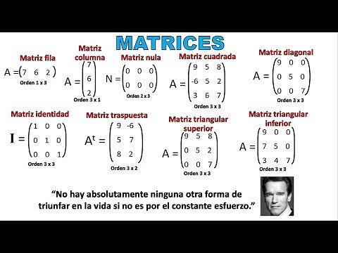 MATRICES. ¿Qué es una matriz? Tipos de matrices