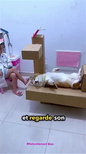 320K views · 5K reactions | Une petite fille qui joue à la médecin et...