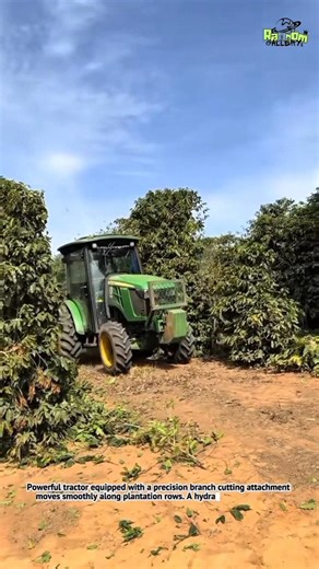 Precision Tractor Branch Cutter 🌿 Satisfying Plantation Trimming Machine!