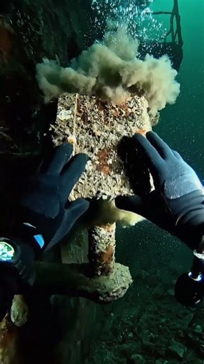 Diver Finds a Forgotten Compass Inside a Sunken Ship 😱⚓ #shipwreck #deepsea #shorts