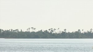 11 hospitalized from muriatic acid exposure at Port Panama City; one in critical condition