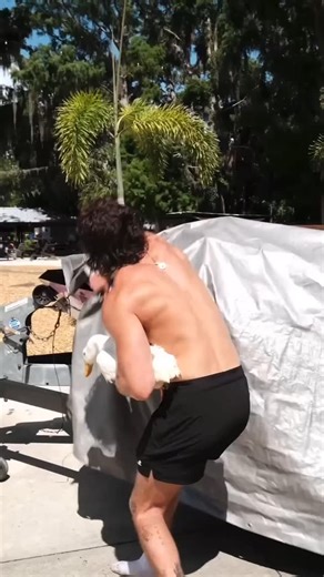 196 reactions · 6 comments | Free Jetstream? Go check out @tooturnttony | Jetstream Adventure Boats | Facebook