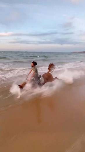 Cheko Galvez | Rayadita de frente la que se dio el jinete 😂😂 . . . . . . . . . . . . . . . . . . . . #feriadelcaballoespanol #charros... | Instagram