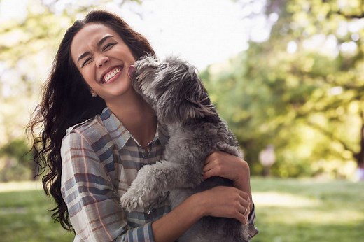 Why Do Dogs Lick Their Humans? A Vet Explains