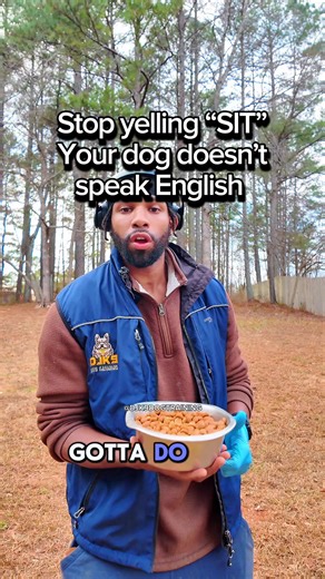 ❗️Most owners jump to commands like sit or down… before the dog even knows how to learn. Hand feeding is how you: • Build motivation • Communicate in THEIR language • Create structure from day one #atlantadogtrainer #obediencetraining #puppytrainingtips #boardandtrain #dobermanpuppy