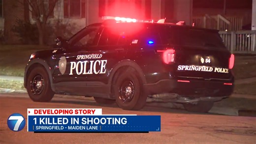 Man killed in overnight shooting in Springfield; 911 calls released: bit.ly/40xwkij | WHIO