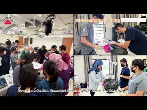 TooToo MediTech Advanced Dental Training- Kuala Lumpur