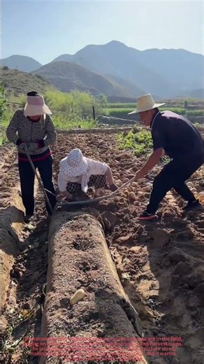 Working in the field to harvest crops, surrounded by mountains and rivers is so pleasant～