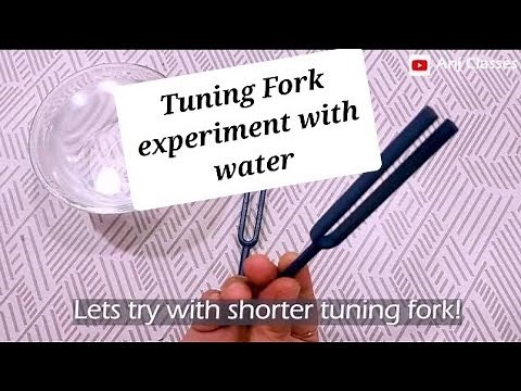 How tuning fork work in water?| Sound class 8,9,10,11 #tuningforkactivity