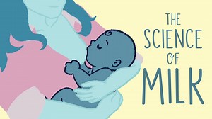 How is milk made? And why do we drink it? | TED-Ed