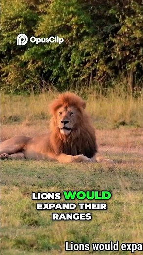 Earth Without Humans Nature Reclaims Everything #space #lifeonearth #dinosaur