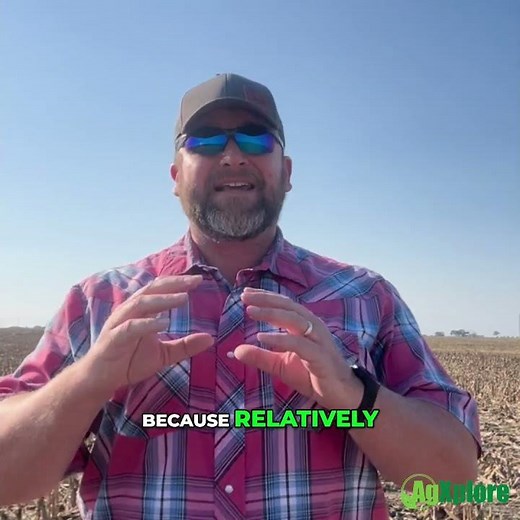 Why Calcium Is Critical: Improve Soil Structure, Base Saturation, and Root Health with Lime