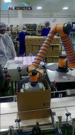 AUBO I10 collaborative 6-axis robot assembly line case erector and packaging robotic arm