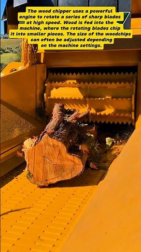 Powerful Wood Chipper in Action: Transforming Logs into Woodchips