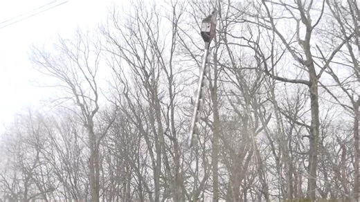 Eversource implements helicopter tree trimming to help prevent power outages
