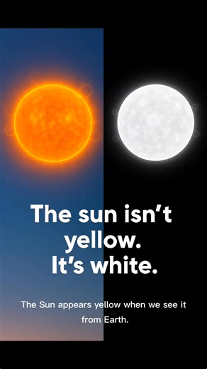 17K views · 702 reactions | The Real Color of the Sun – It’s Not Yellow! We often think the Sun is yellow, but that’s just an illusion caused by Earth’s atmosphere. In reality, the Sun is white when seen from space. Learn why our star appears differently depending on where you view it from. #ScienceFacts #SunTruth #Astronomy #SpaceEducation #DidYouKnow #SunColor #ScienceExplained #PhysicsFacts #EarthAndSpace #SpaceScience | Cosmos Stargazers | Facebook