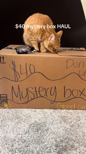 $40 Mystery Box Haul: Exciting Unboxing Experience