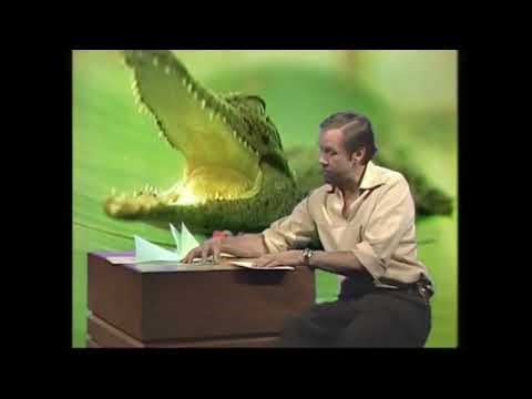 Paper and Card Croc Snapper