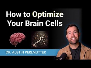 How to Optimize Your Brain Cells