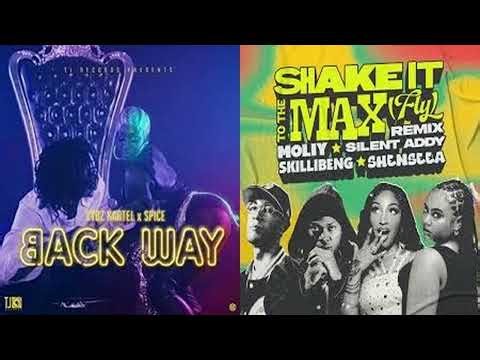 Back Way / Shake it To The Max (Fly) (Mashup)