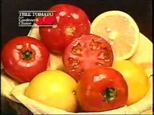 April 2008 Commercials Part 3