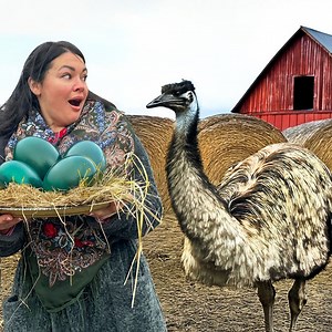 17K views · 322 reactions | Dinosaur Eggs and Giant Meat in the Oven! | Fast Cooking | Facebook