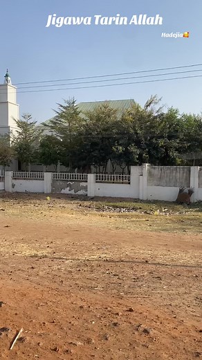 #fyppppppppppppppppppppppp #hadejia_my_home🥰🥰 #fypシ゚ #trendingvideo #fyp_viral_video #hadejatiktok #hadejatiktok #viral #Hadejia #100kviews #Hadejia_Ginsau #HadejiaGinsauBirnin🐎 #fyppppppppppppppppppppppppppppppppppp